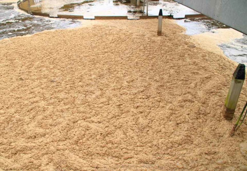 Co to jest osad czynny i jak działa? - RESTAiR - Innowacyjne systemy ...